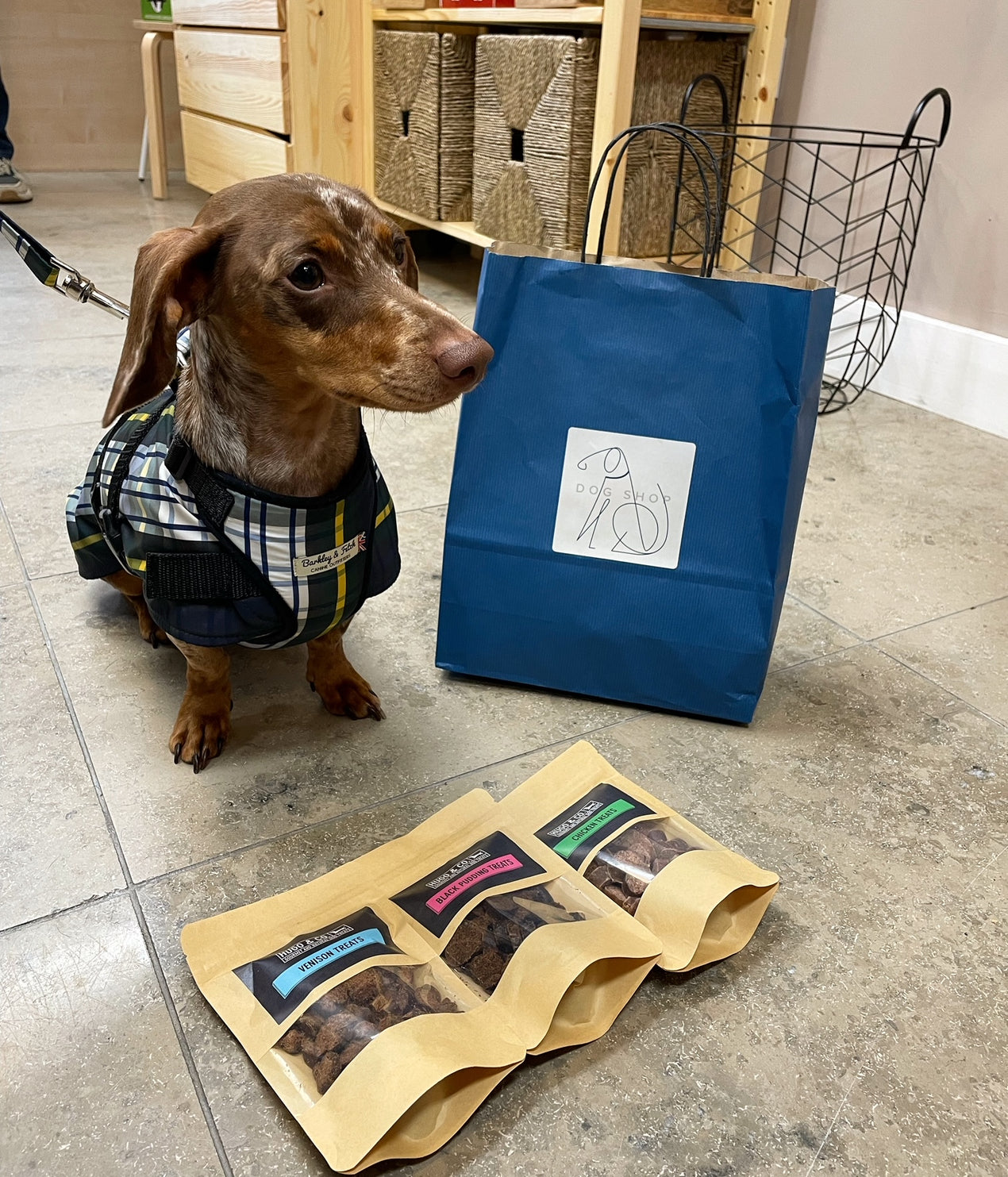 Dog Shop – Dog Shop MCR